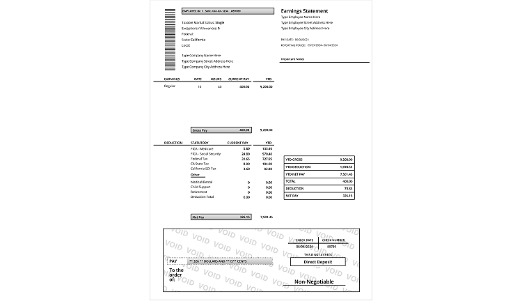 Paystub Generator | Pro Check Stub Maker | #1 Stub Creator