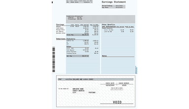 Paystub Generator | Pro Check Stub Maker | #1 Stub Creator