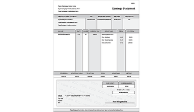 Paystub Generator | Pro Check Stub Maker | #1 Stub Creator