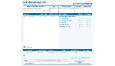 Paystub Generator | Pro Check Stub Maker | #1 Stub Creator