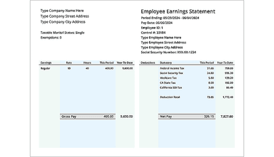 Paystub Generator | Pro Check Stub Maker | #1 Stub Creator