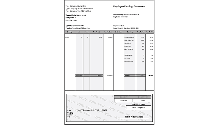 Paystub Generator | Pro Check Stub Maker | #1 Stub Creator