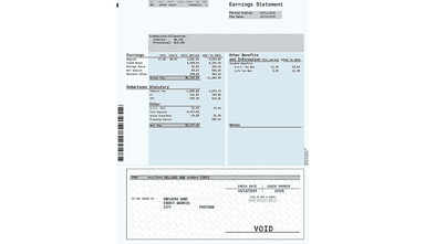 Paystub Generator | Pro Check Stub Maker | #1 Stub Creator