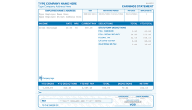 Paystub Generator | Pro Check Stub Maker | #1 Stub Creator