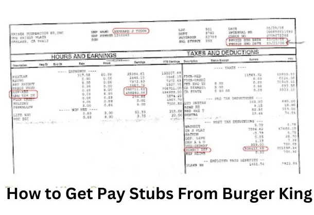 Real Paycheck Stubs | Generate Your Real Check Stub